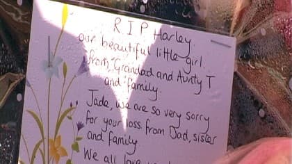 'I hope you find closure' judge tells Jade Ruck | abergavennychronicle.com