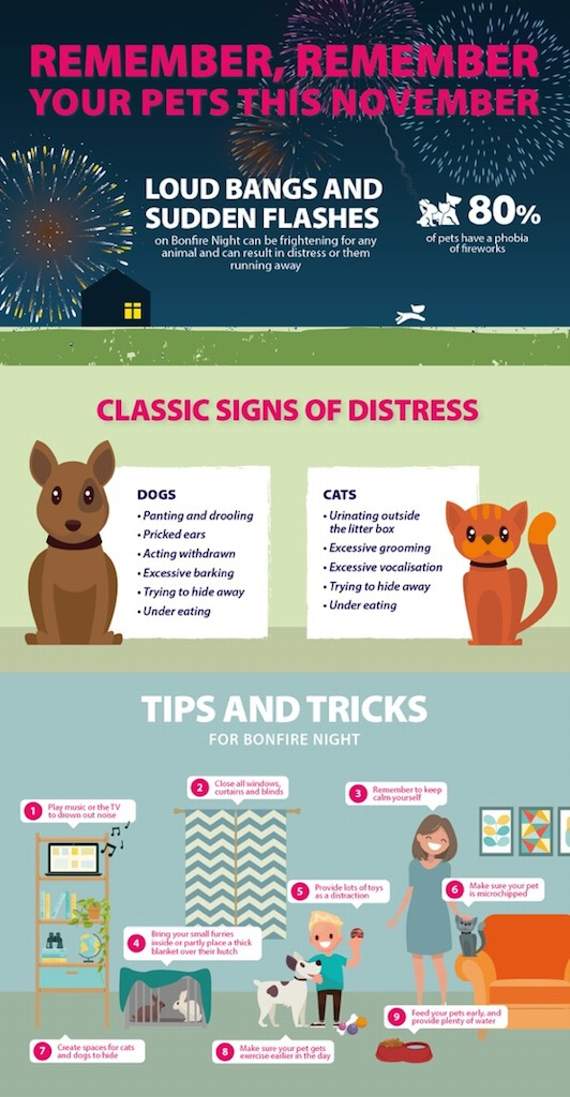 do fireworks affect animals