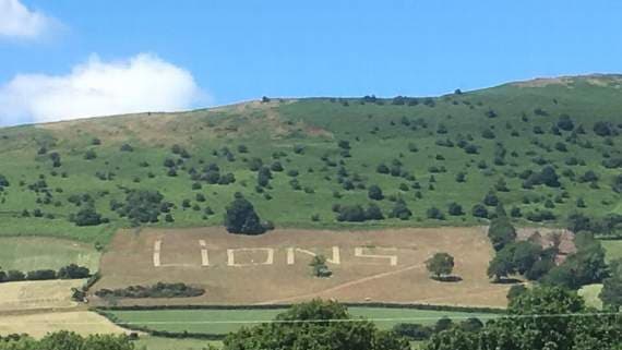 The lion awakes in the hills of Aber | abergavennychronicle.com