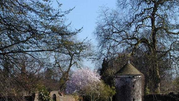 Visit Lady Llanover's garden and help support charities ...