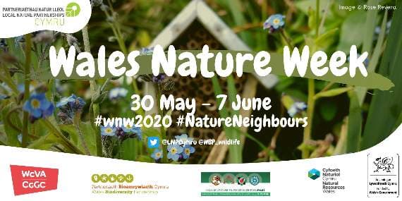 Join in the fun of Wales Nature Week | abergavennychronicle.com