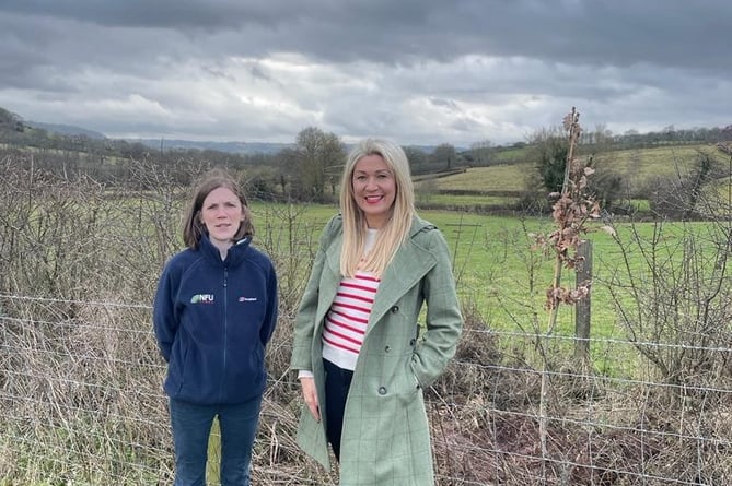 Laura Anne Jones MS plants a tree as part of campaign ...