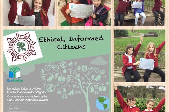 Pupils are celebrating platinum eco award | abergavennychronicle.com
