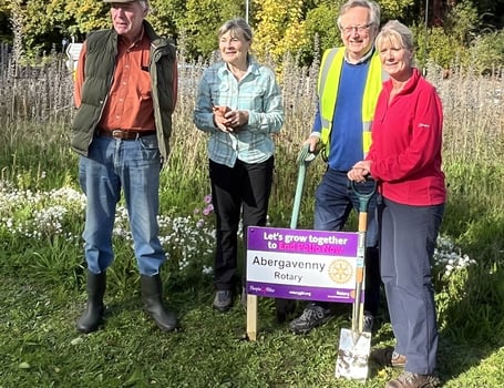 Abergavenny Rotary Club gets planting for polio charity ...
