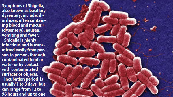 Public Health Wales update on the shigella food poisoning outbreak ...