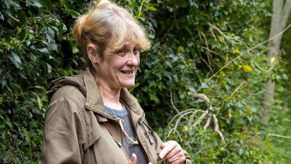 Get closer to nature with wild weekends at The Angel Hotel ...