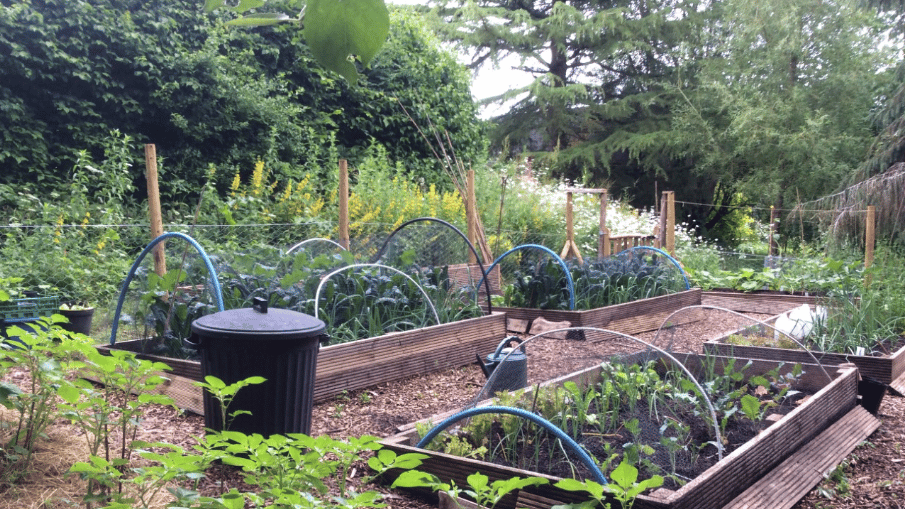 Abergavenny: Biodiverse: environment: earth: planet ...