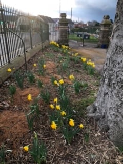 Abergavenny: Bailey Park: spring | abergavennychronicle.com