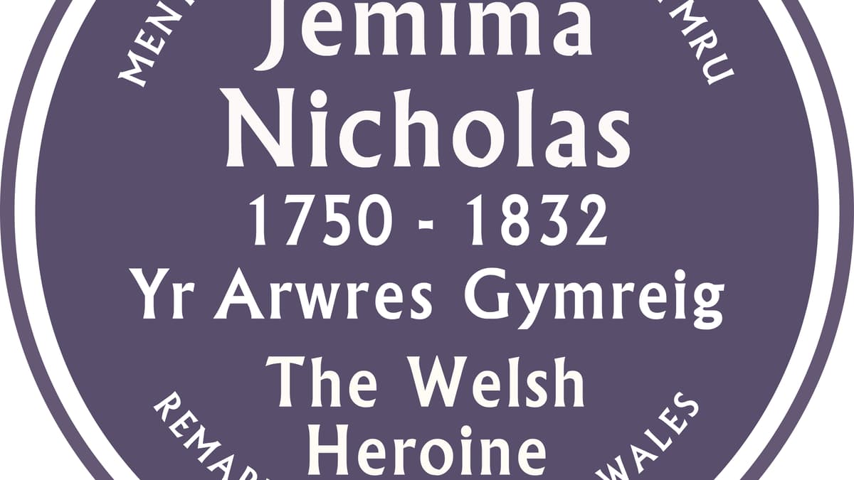 Wales' 15th purple plaque unveiled | abergavennychronicle.com
