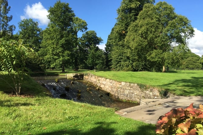 Gardens open to visitors over the summer | abergavennychronicle.com