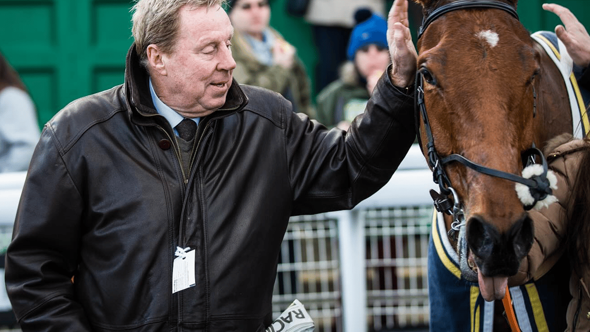 Harry's set to Shakem Up at county's racecourse | abergavennychronicle.com