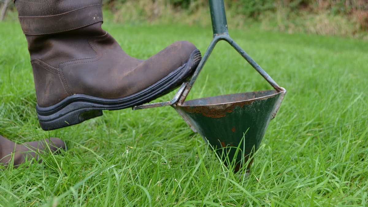 Welsh farms miss grass yield potential | abergavennychronicle.com