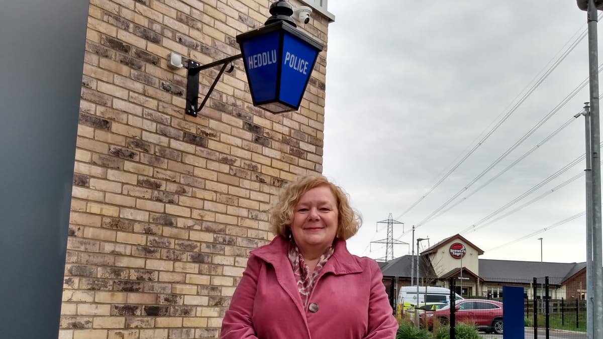 Online crime is taking bobbies off the beat admits PCC ...