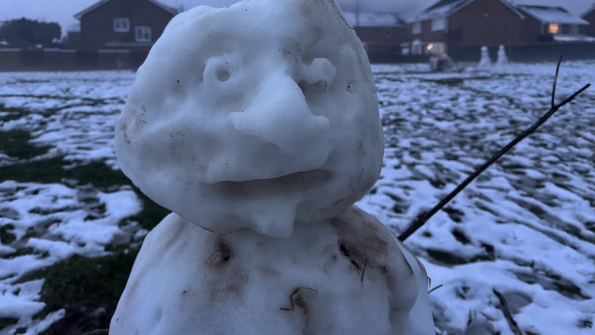 Ice cool snowman caught chilling with intent in Croesonen Parc ...