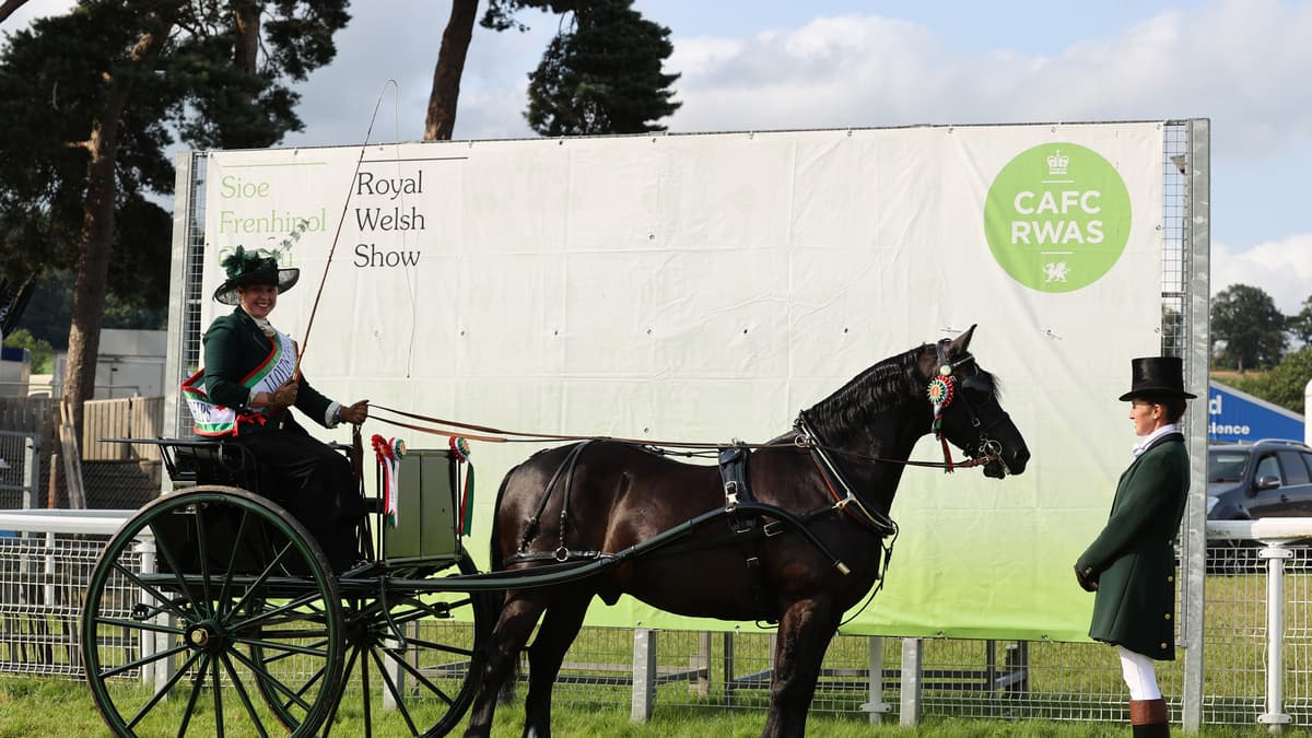 Royal Welsh Show 2025 Schedules Now Live – Entries Opening Soon ...