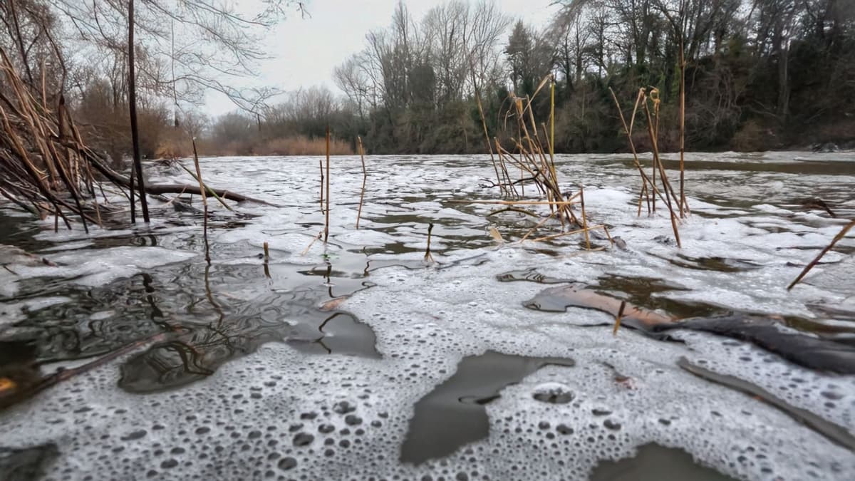 River pollution legal claim filed at High Court | abergavennychronicle.com