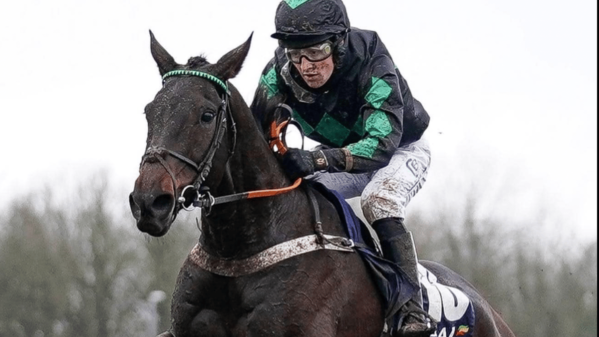 Gold Cup winner Sam targets more Cheltenham success ...