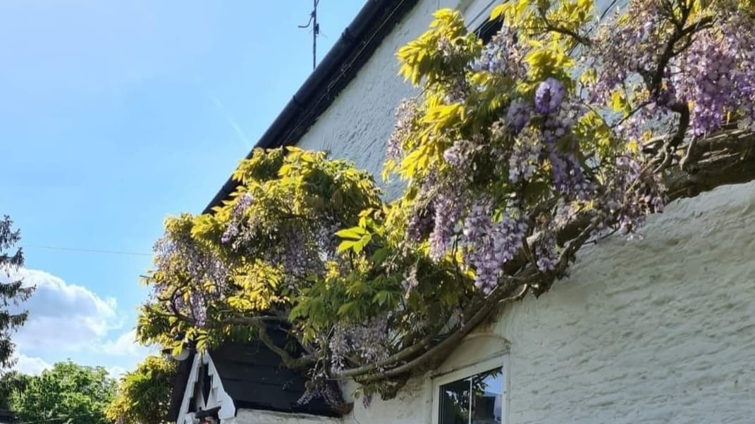 Rural pub launches village store to support community ...