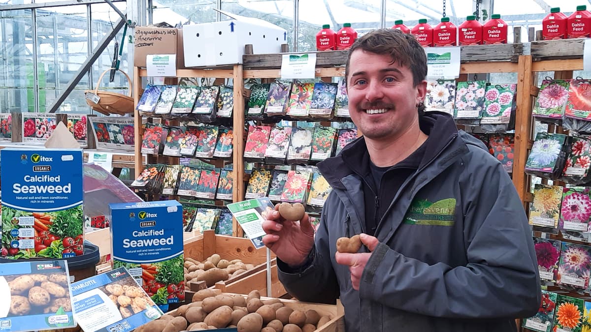 Get growing for a great cause: the annual Potato Growing Challenge ...