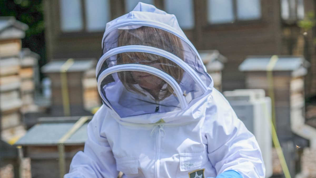 Ceri Joyner becomes Gwent's first master beekeeper | abergavennychronicle.com