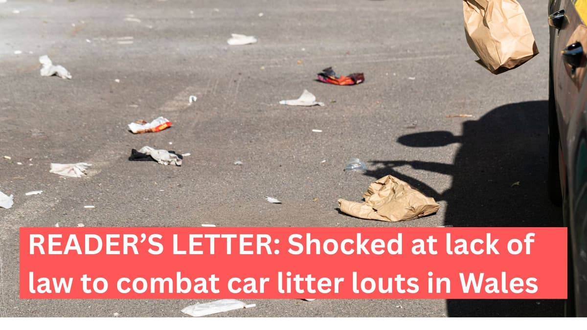 Reader's Letter: Council workers never pick up litter on country lanes ...