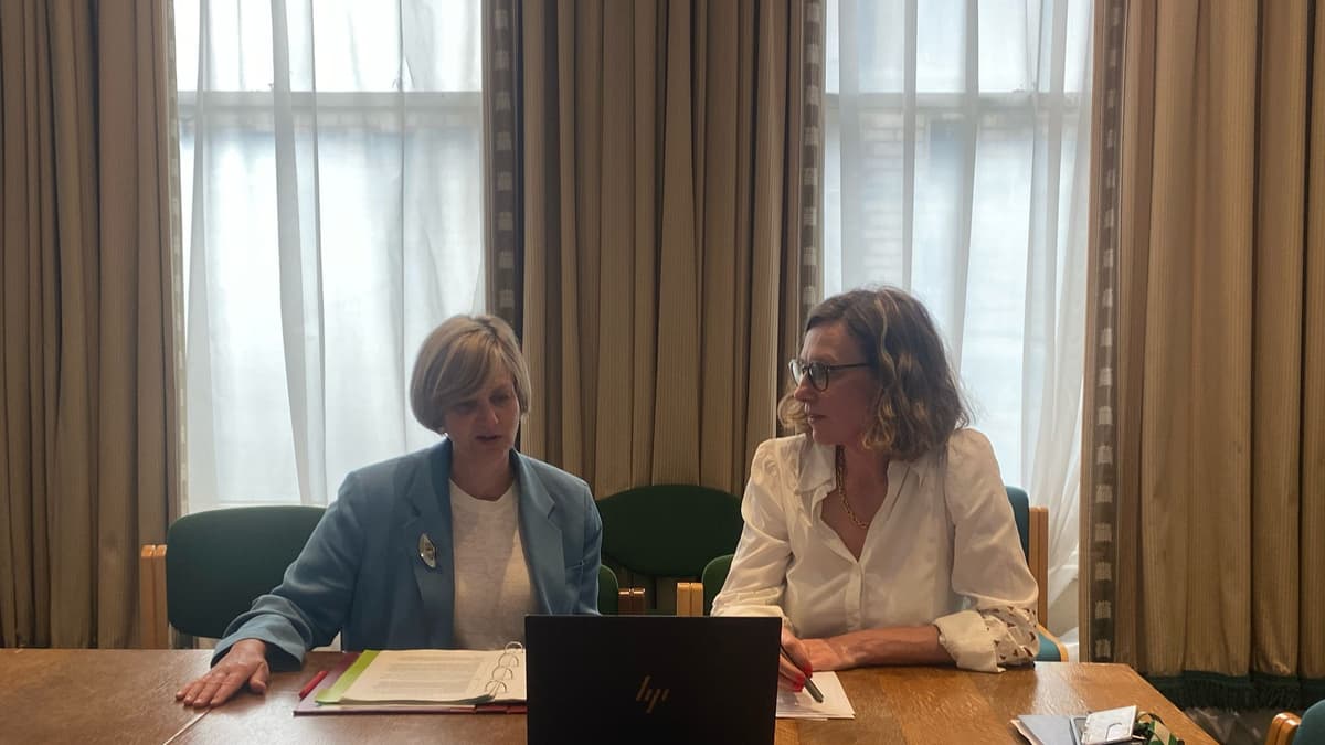 Severn bridge safety: Monmouthshire calls for urgent action ...