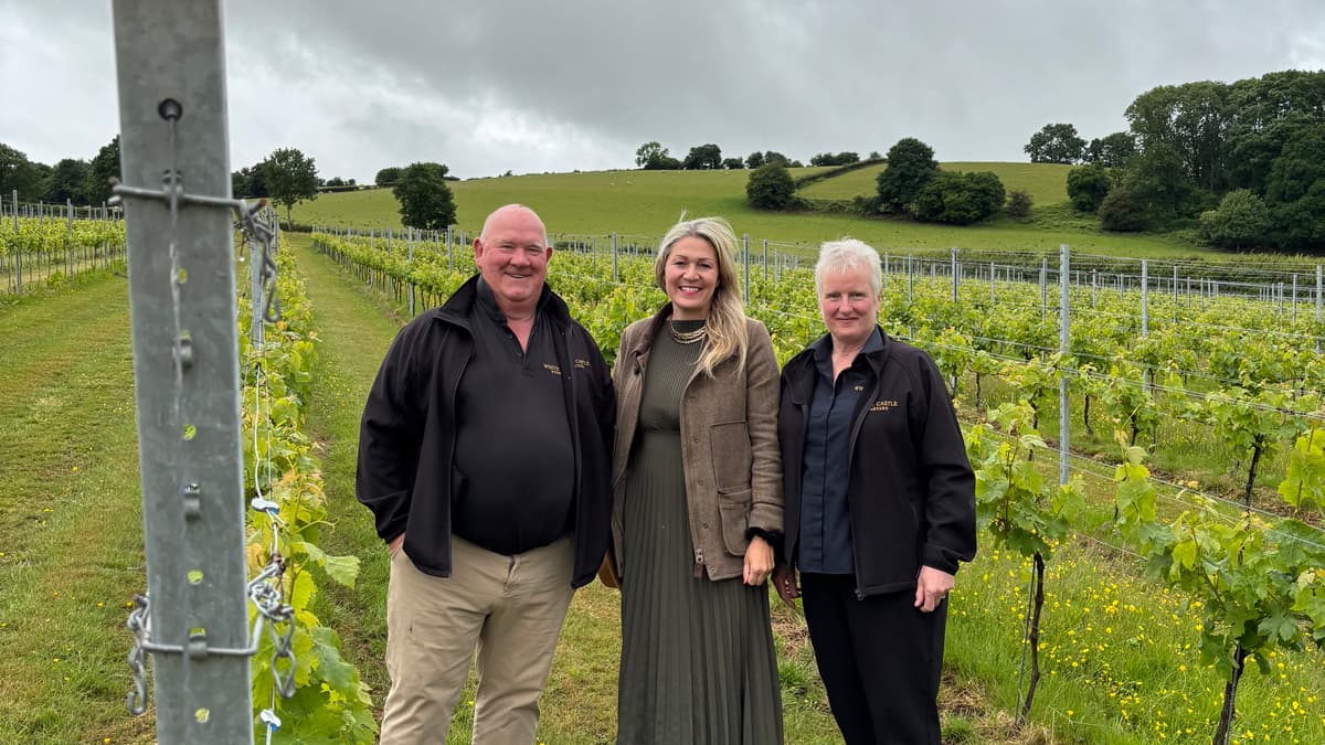 The Monmouthshire couple making world beating wine ...