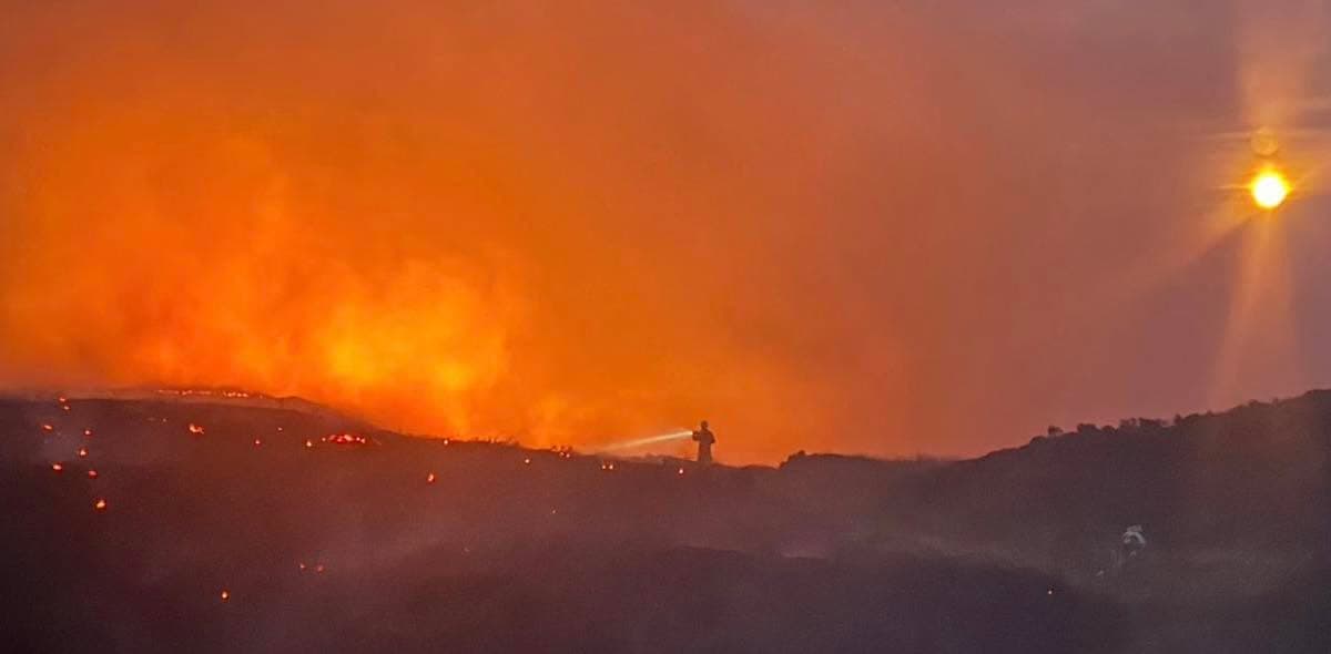 Firefighters withdrawn after battling Clydach Dingle wildfire ...