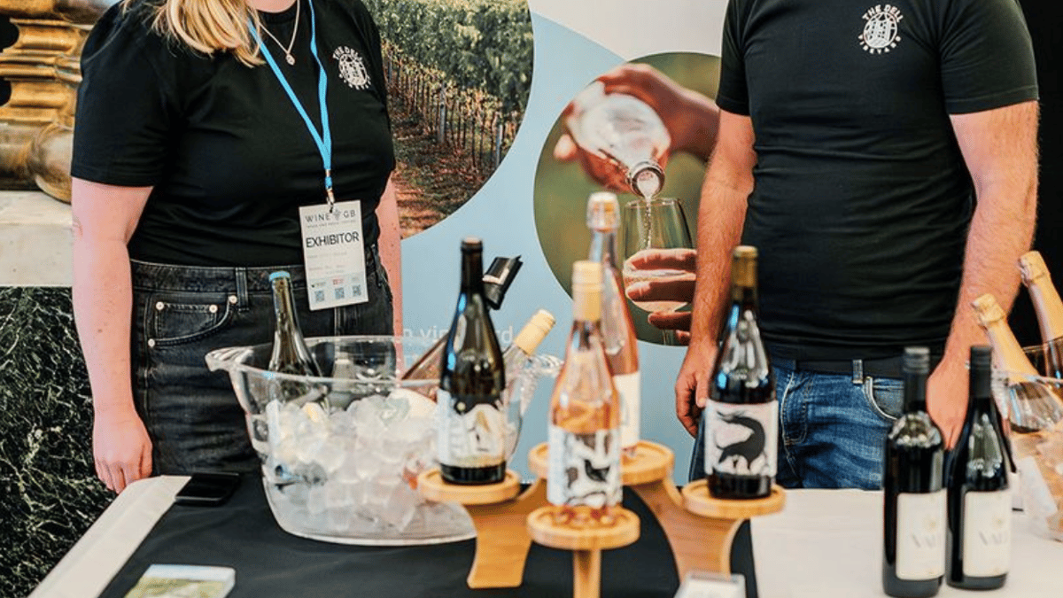Welsh vineyard sees record grape harvest in 2025 | abergavennychronicle.com