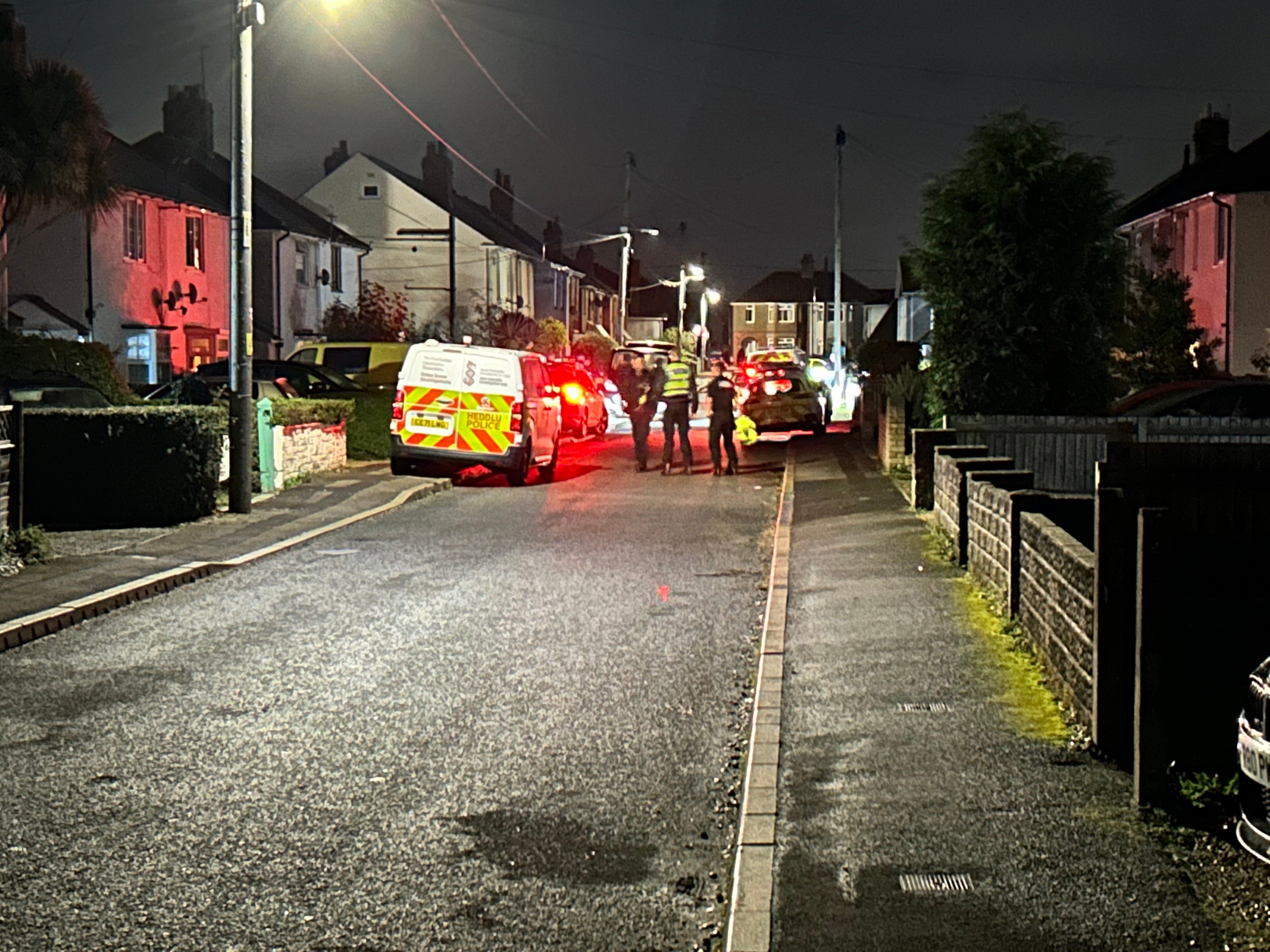Dog in fatal Rogiet attack was an XL Bully say police ...