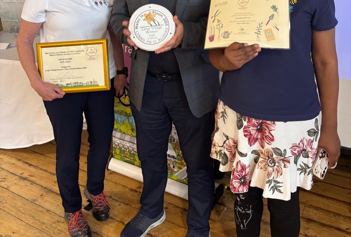 Gold again for Usk and Abergavenny at Wales in Bloom ...