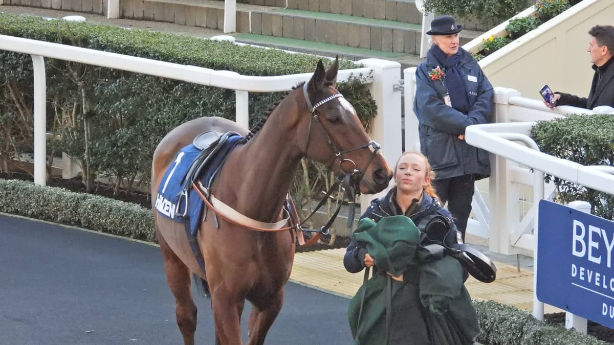 Steel Ally provides festive filip for Sam | abergavennychronicle.com