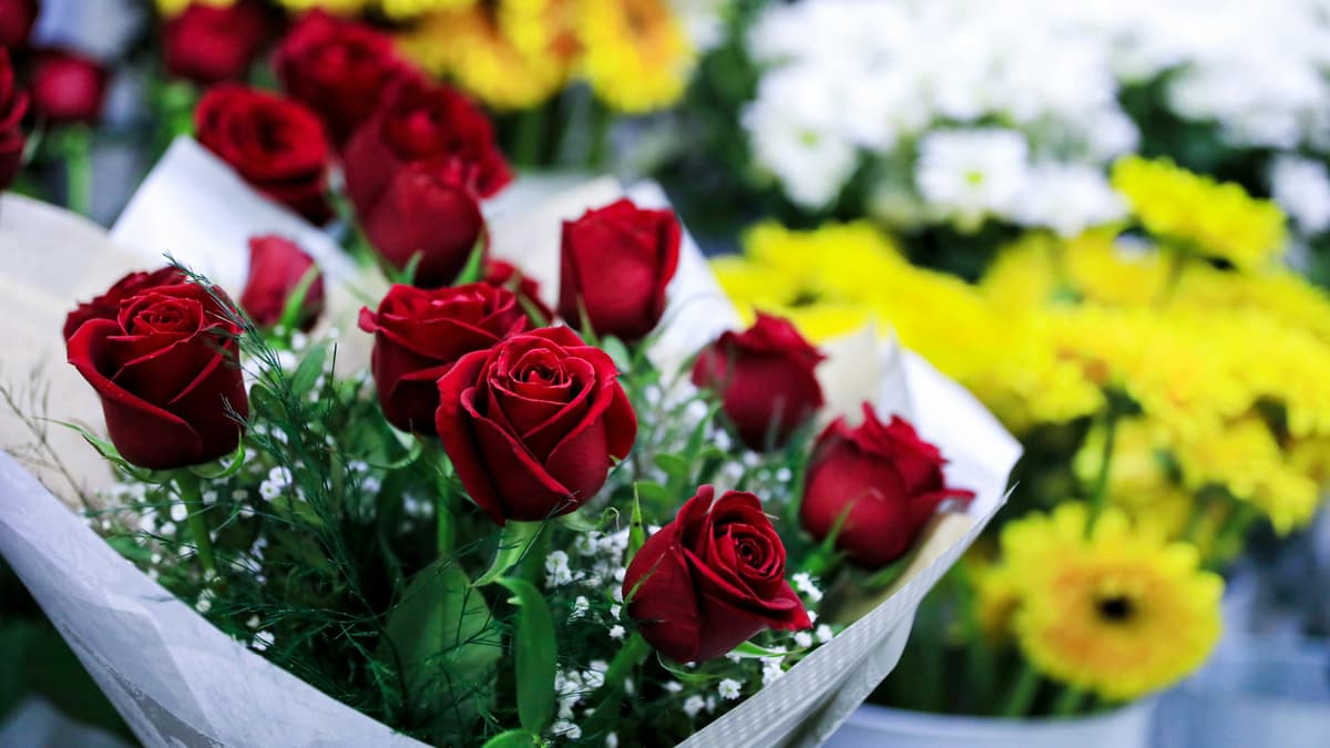 Boosting local business: Tindle News launches 2026 Valentine’s ...